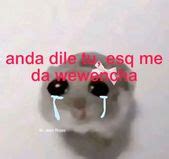 Asi Como Escuchaste Meme