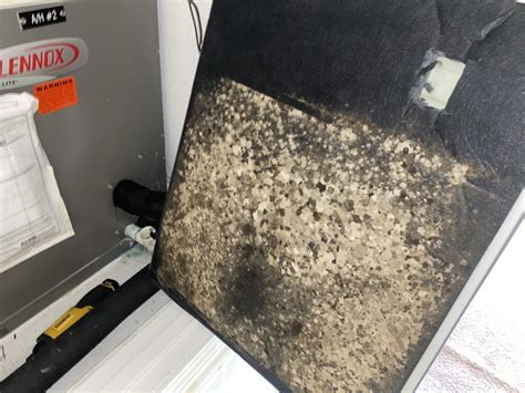 Lennox Air Handler Issues Home Inspectors In Ocoee Fl