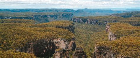 Carnarvon Gorge Carnarvon National Park Parks And Forests