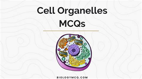 Cell Organelles Mcqs