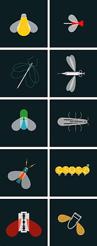 27 Ideias De Pirilampo Pirilampo Pirilampos Vagalumes