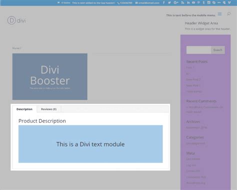 Divi Plugin Highlight Divi Booster