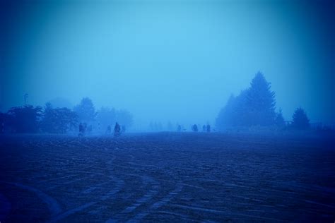 山岸 伸 Global Pro Gallery Om System