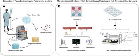 Frontiers Human Organ On A Chip Microphysiological Systems To Model