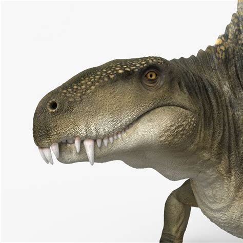 Dimetrodon Hd Modelo 3d 249 3ds C4d Fbx Lwo Ma Obj Max