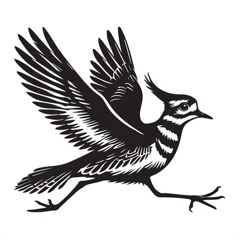 Killdeer Bird Silhouette Charadrius Vociferus Clipart Killdeer Wings