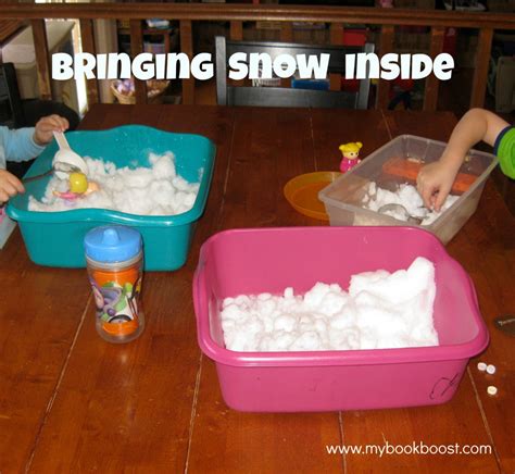 Bringing Snow Inside