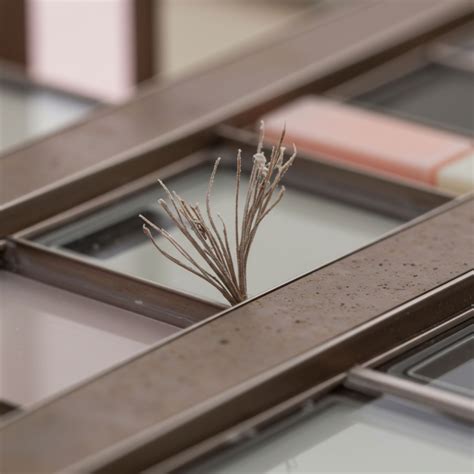 Passive Consumption → Term