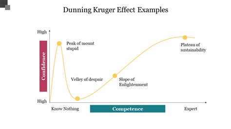 Dunning Kruger Effect Examples — Edit And Present In Minutes