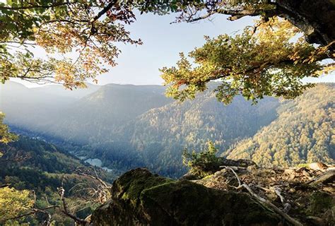 Wandern In Deutschland Top 5 Nationalparks Blog Asi Reisen