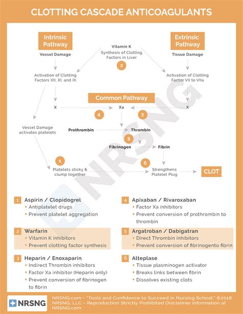 Cs Pharm 033 Clotting Cascade Anticoagulants Nrsng “tools And