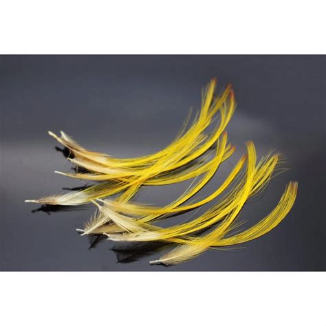 Tigofly 50 Pcslot Assorted Natural Golden Color Pheasant Crest Feather