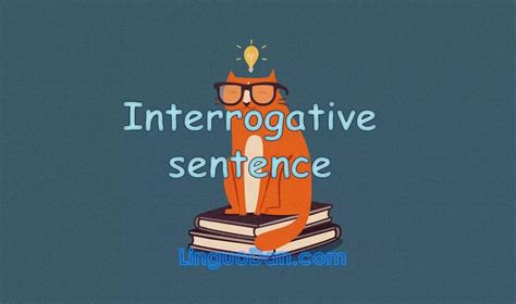 Питальні речення в англійській мові Linguodan