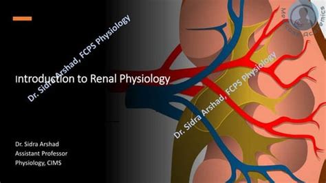 Extracellular Edema Types And Pathophysiology Pdf