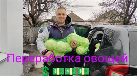 Простой парень закупил кучу овощей для переработки 💵 Youtube
