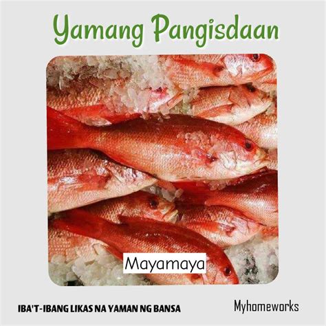 My Homeworks Yamang Pangisdaan