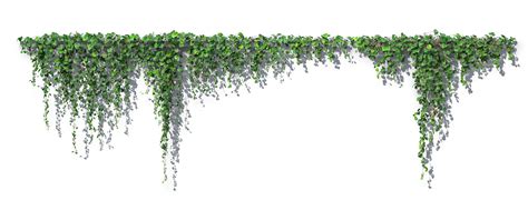 Classic Rendered Hanging Vine Vishopper