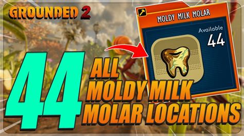 Grounded 2 All 44 Moldy Milk Molar Locations Youtube