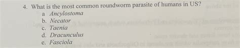 Solved What Is The Most Common Roundworm Parasite Of Humans