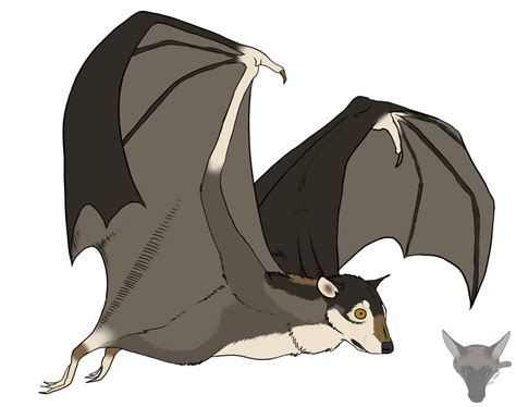 Chibiabos As A Flying Fox By Tiewolf On Deviantart