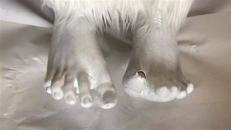 Big White Yeti Feet Getting Ready To Stomp On You Fetish Princess