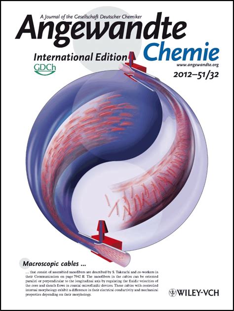Inside Back Cover Microfluidic Control Of The Internal Morphology In Nanofiber‐based