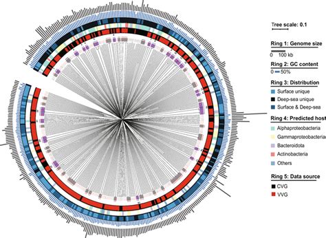 Proteomic Tree Of 95 Cvgs And 321 Vvgs Showing A Summary Of The