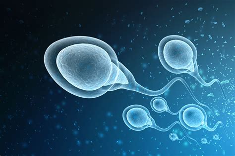 Do You Still Produce Sperm After A Vasectomy Msi Vasectomy
