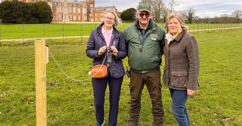 Spot Deer Foxes And More As East Yorkshire Stately Home Launches New