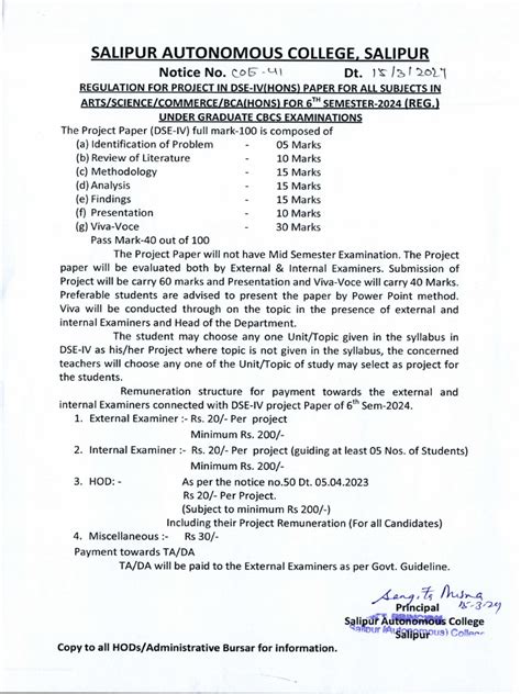 Regulation For Project In Dse Iv Project Pdf