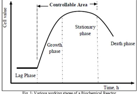 The Basic Reaction Inside The Bioreactor Is Substrate Cell