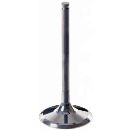 Exhaust Valve Vertex Titanium Tonnycat