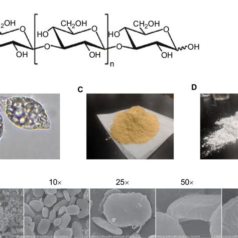 Figure S1 Physical Characteristics Of E Gracilis And Paramylon Notes