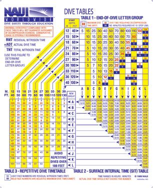 Naui Dive Planning Table Hollywood Divers