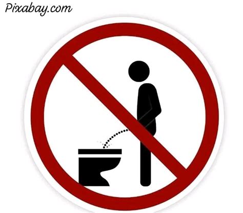 Kenapa Kita Sebaiknya Jangan Kencing Berdiri Nusantara Ku