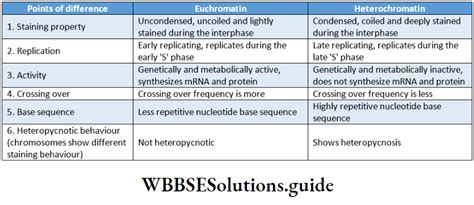 Nucleoplasm Function Components Notes Wbbse Solutions