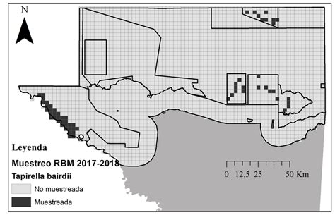 Ubicación De Las Celdas De Muestreo De Tapirella Bairdii En La Reserva Download Scientific