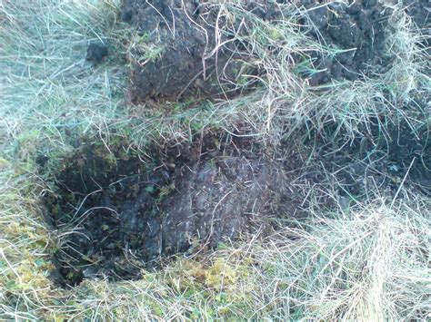 Engineering Our Freedom Digging A Small Swale