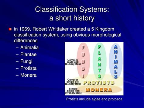 Ppt Prokaryotic And Eukaryotic Classification