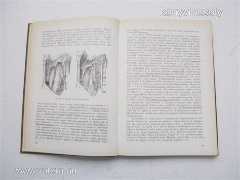 Drtömböl Teréz Drvajda János Drzszabó László Útmutató Boncolási