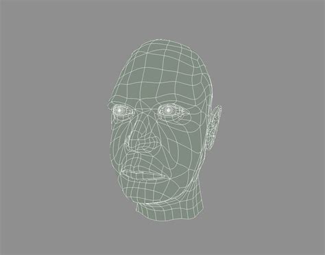 3d Albert Head Human