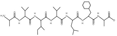 Solved How Many Side Chains Are In This Protein