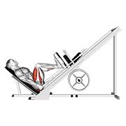 Leg Press How To Muscles Worked And Proper Form Cora App