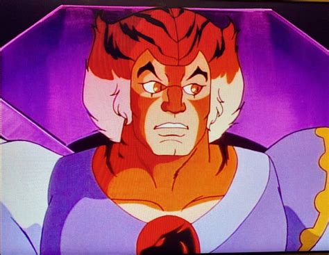 Tygra The80scollector