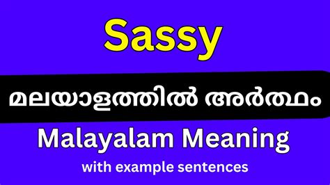 Sassy Meaning In Malayalamsassy മലയാളത്തിൽ അർത്ഥം Youtube