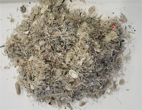 Nadějné řešení Pro Neřešitelný Odpad Ekologická Likvidace Vrtulí Z Větrných Elektráren či