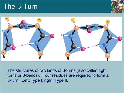 Ppt Chapter 6 Proteins Secondary Tertiary And Quaternary Structure