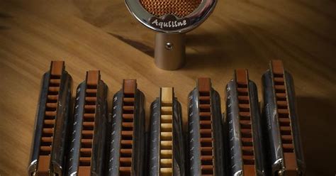 Aquiline Harmonica Bullet Microphone Album On Imgur