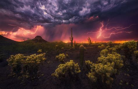 Desert Lightning Strike Hd Cactus Storm Photography 1800x1164