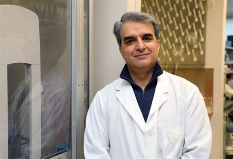 Mapping Mutations The Future Of Breast Cancer Screening And Treatment